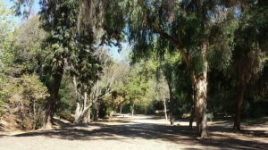 Murphy Ranch Park - LA Trail Hikers