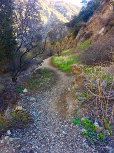 Azusa River Wilderness Park - LA Trail Hikers