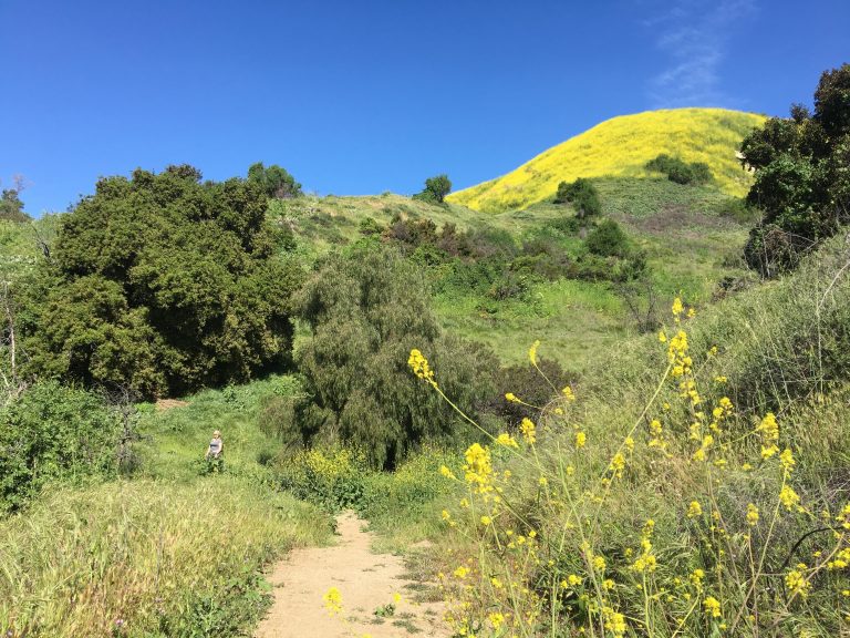 Horsethief Canyon - LA Trail Hikers