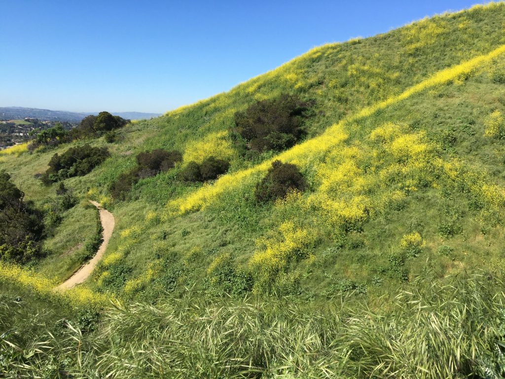Horsethief Canyon - LA Trail Hikers