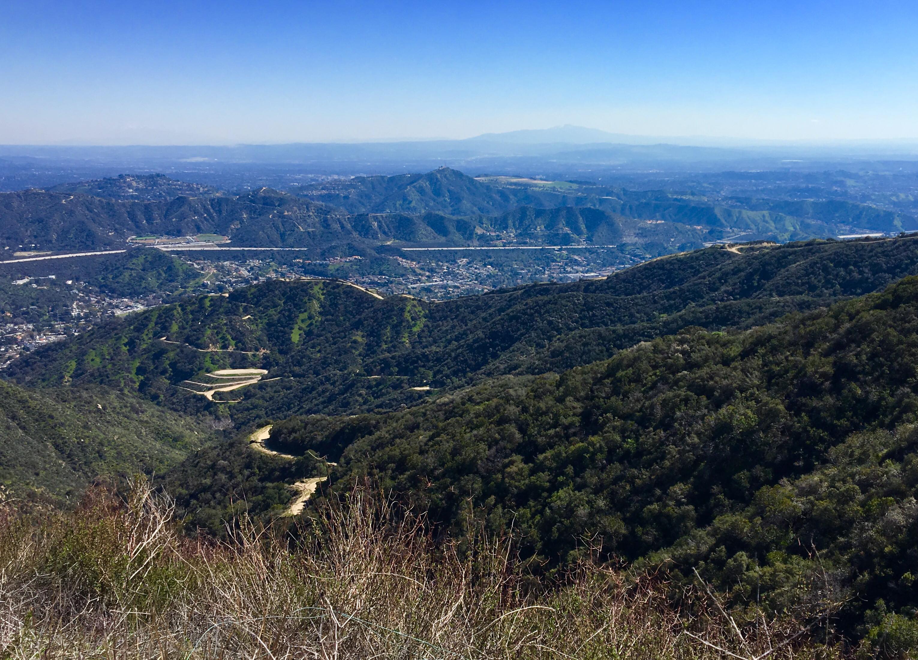 Beaudry Loop - LA Trail Hikers
