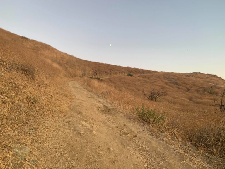 Sunrise Loop Trail - LA Trail Hikers